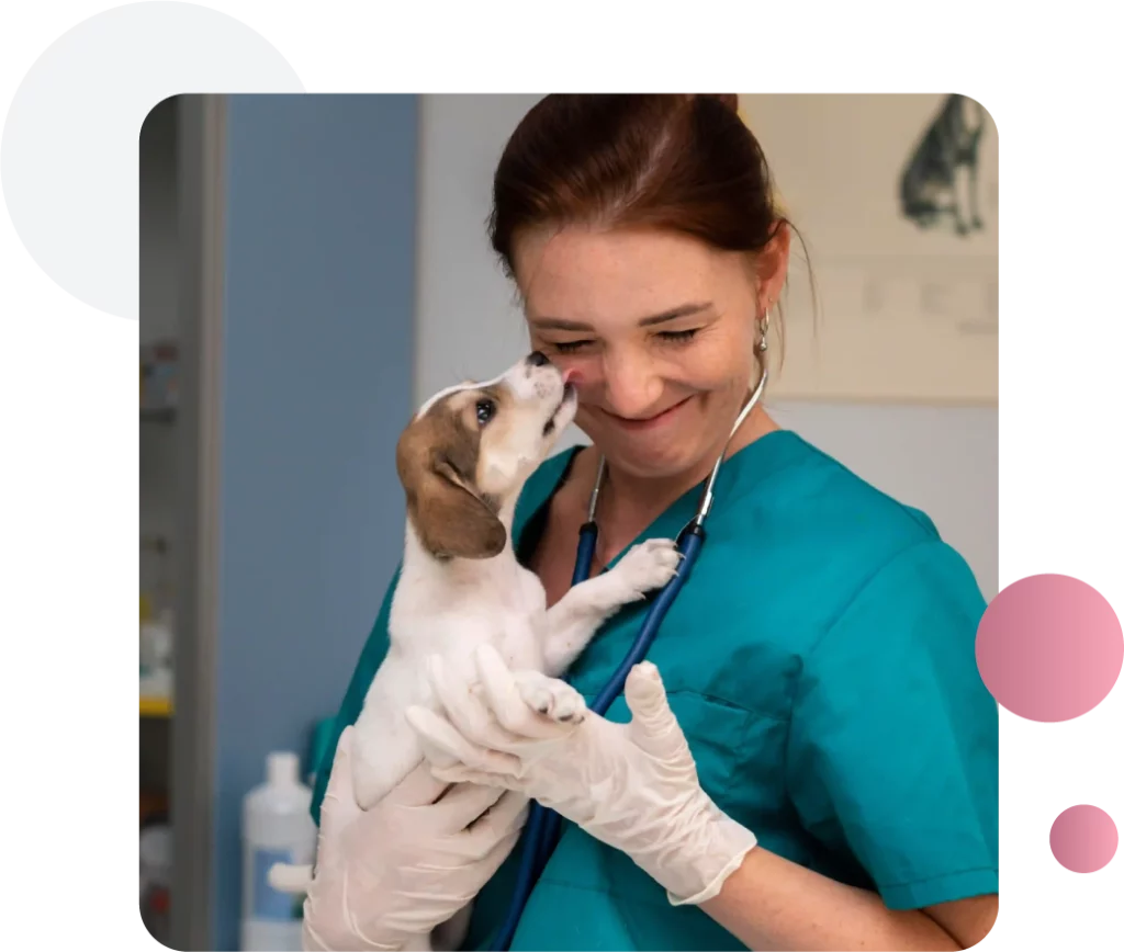 What GCSEs Do You Need To Be a Vet? | Pass GCSE